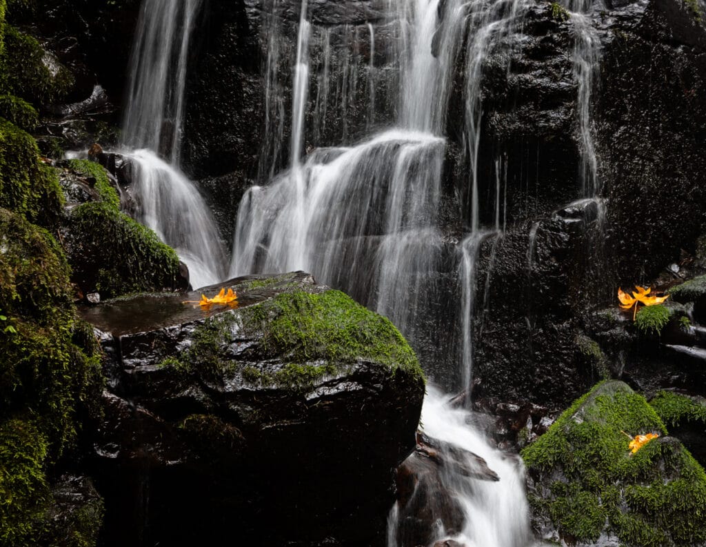 The Photography Show – Grey Raven Gallery